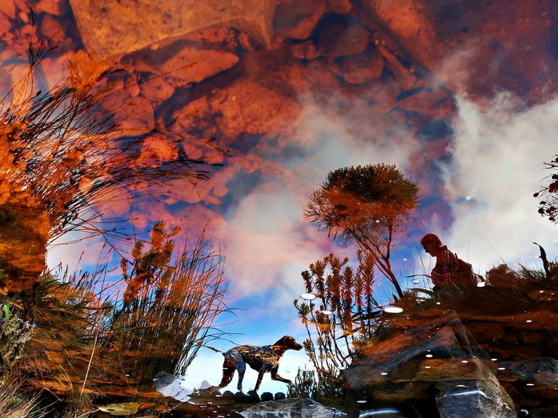nicholas ashby's photographed reflections