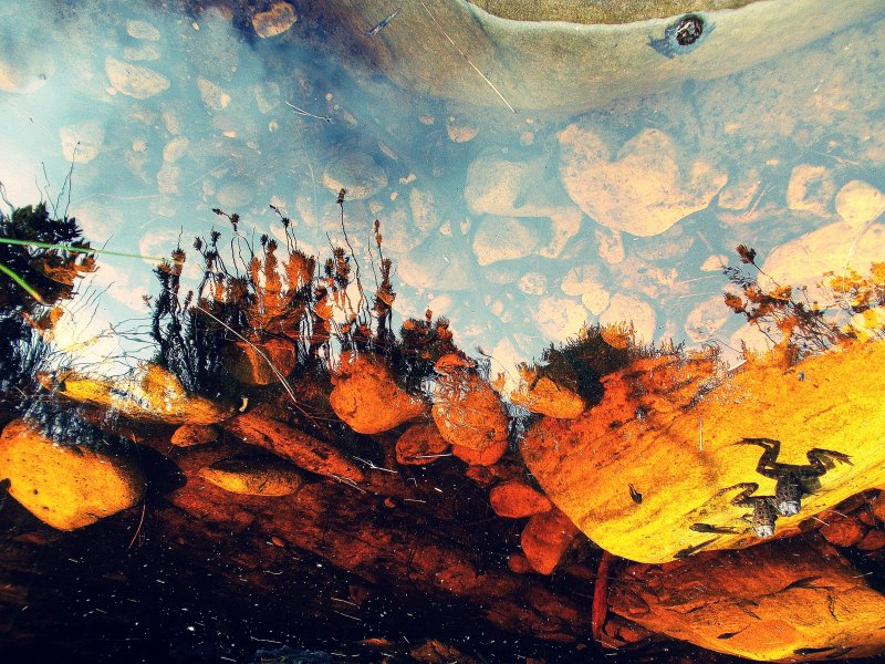 nicholas ashby's photographed reflections