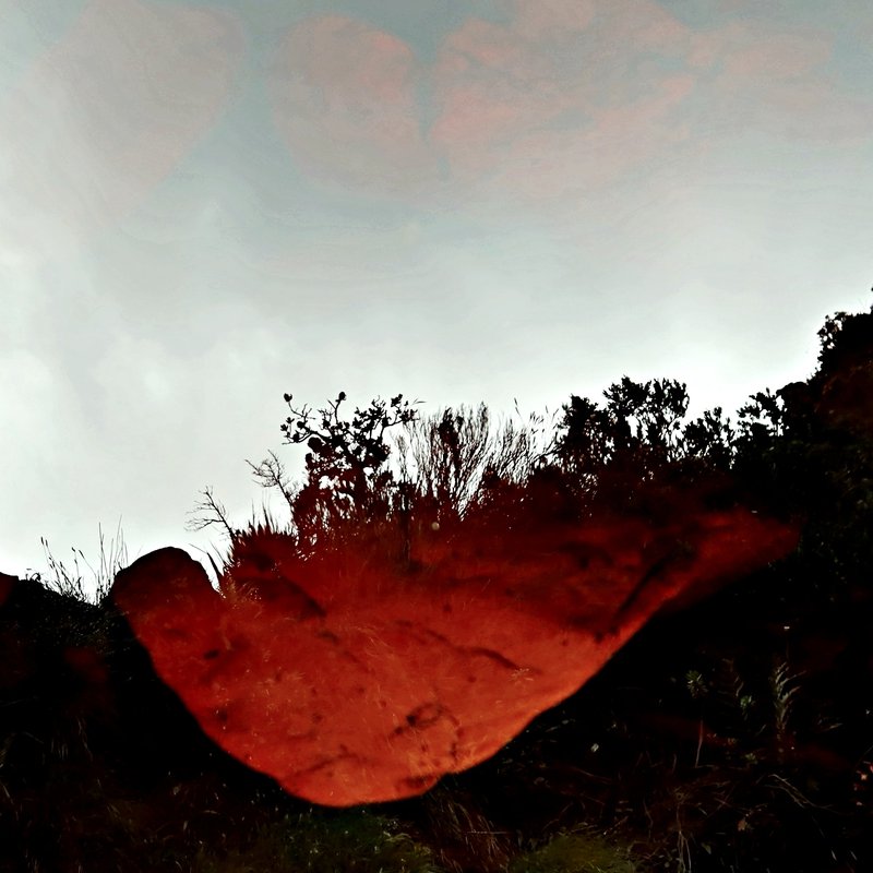 nicholas ashby's photographed reflections