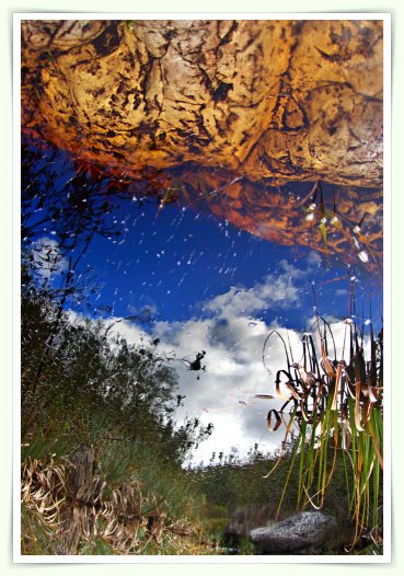nicholas ashby's photographed reflections
